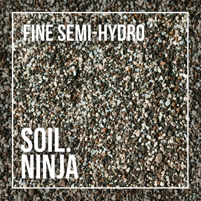 Soil Ninja – Bloom Siren